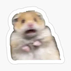 What is TikTok hamster trend? Profile picture with hamsters caught!