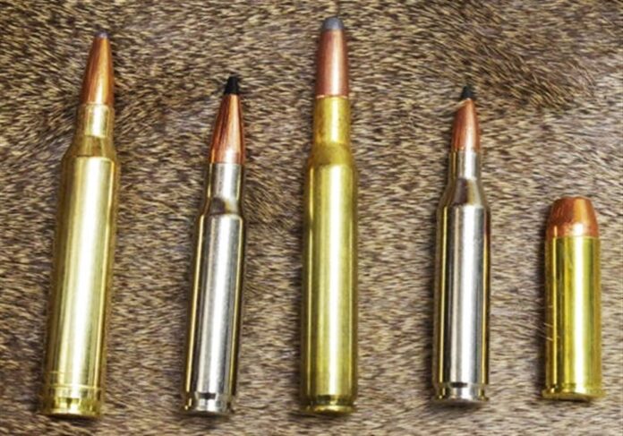 Hunting Ammunition Safety Tips For Beginners: What You Need To Know ...
