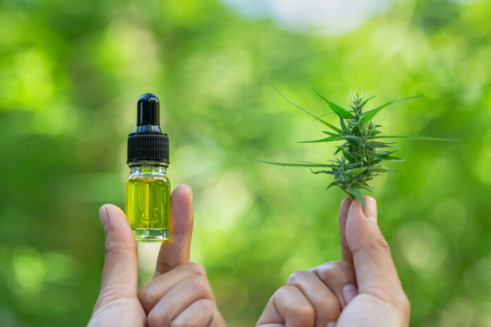 Types of CBD Products: What You Need to Know - Omnitos