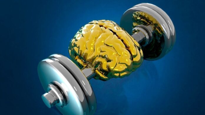 How To Improve Mental Strength As A Student - Omnitos