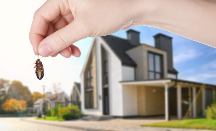 Unwanted Guests: A Guide to Keeping Your Home Pest-Free - Omnitos